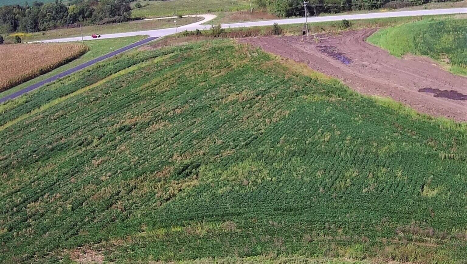 Gallery - The Weed Zapper